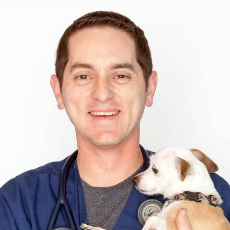 Robert J. Moore, DVM - Dale Mabry Animal Hospital
